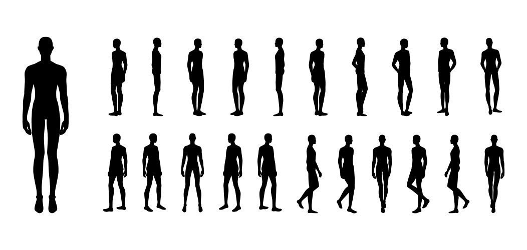 Human body side view Vector Images & Graphics for Commercial Use ...