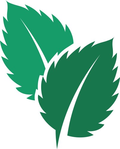 Mint Leaves Flat Icon Royalty Free Vector Image