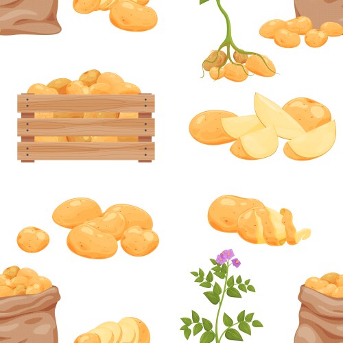 Potatoes on the field Royalty Free Vector Image