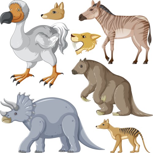 Set of farm animals Royalty Free Vector Image - VectorStock