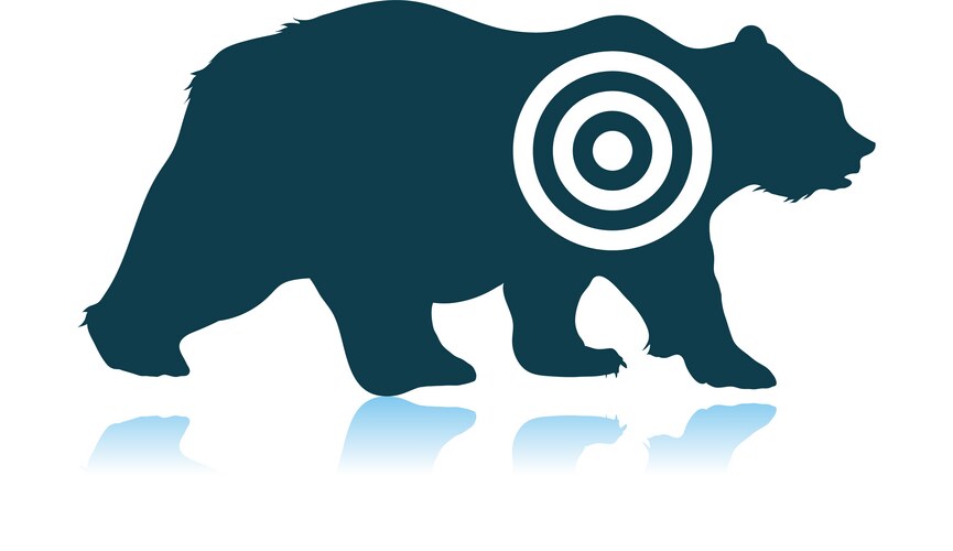 Bear icon Royalty Free Vector Image - VectorStock