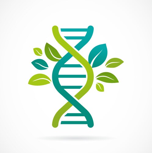 Dna with Leaves Vector Images (over 610)