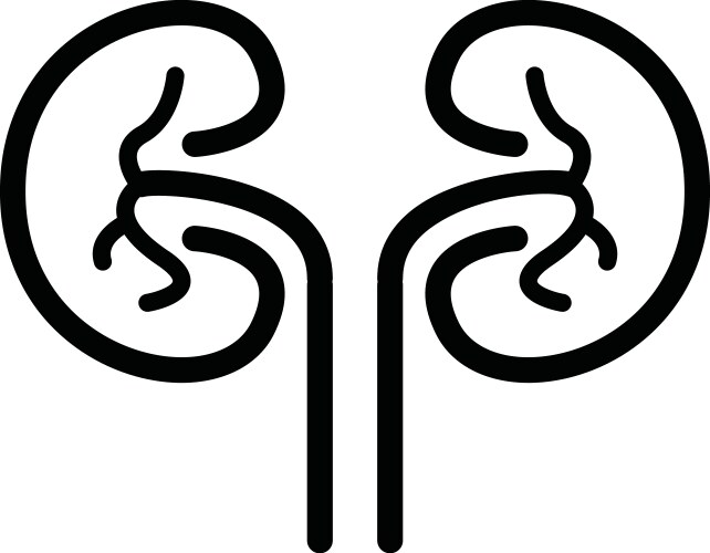 Kidney Vector Images (over 22,000)