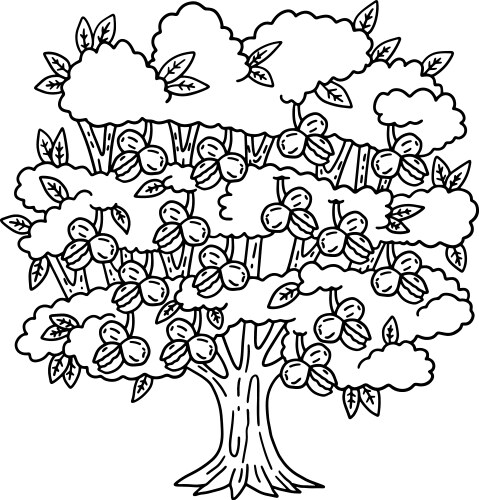 Plum tree fruit plant coloring page for kids Vector Image