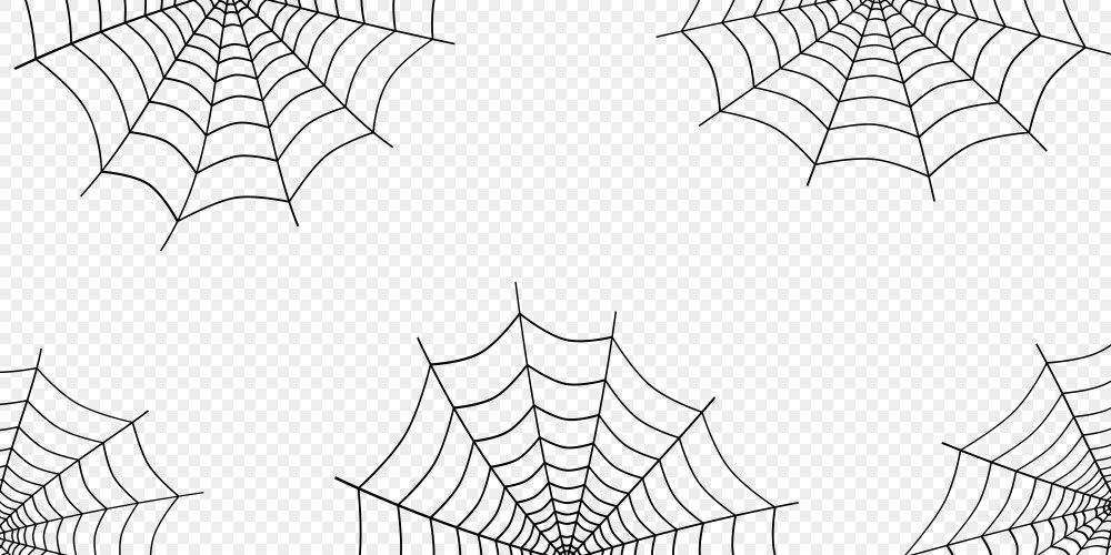 Spider Web Transparent Background Vector Images (over 440)