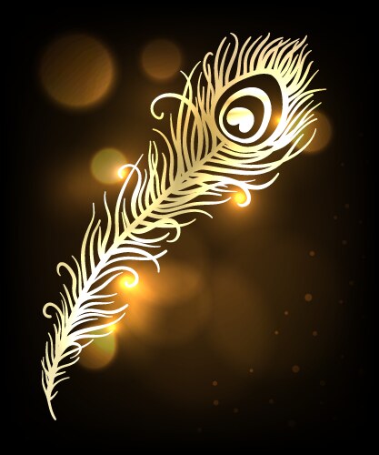 Fiery infinity symbol with peacock feather Vector Image