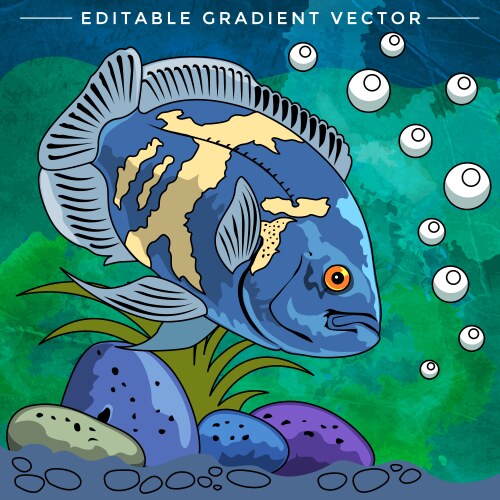 Zebrafish Vector Images (over 130)