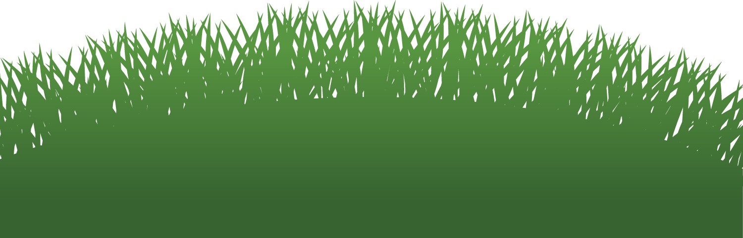 Grass with reflections in water Royalty Free Vector Image