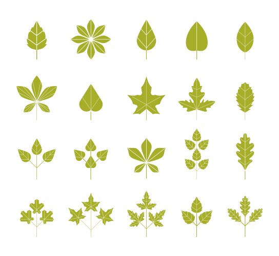 Set leaves Royalty Free Vector Image - VectorStock