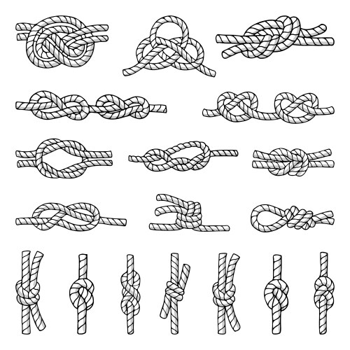 All types of knots demonstrated with strong rope Vector Image