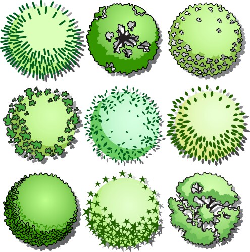 Trees top view Royalty Free Vector Image - VectorStock