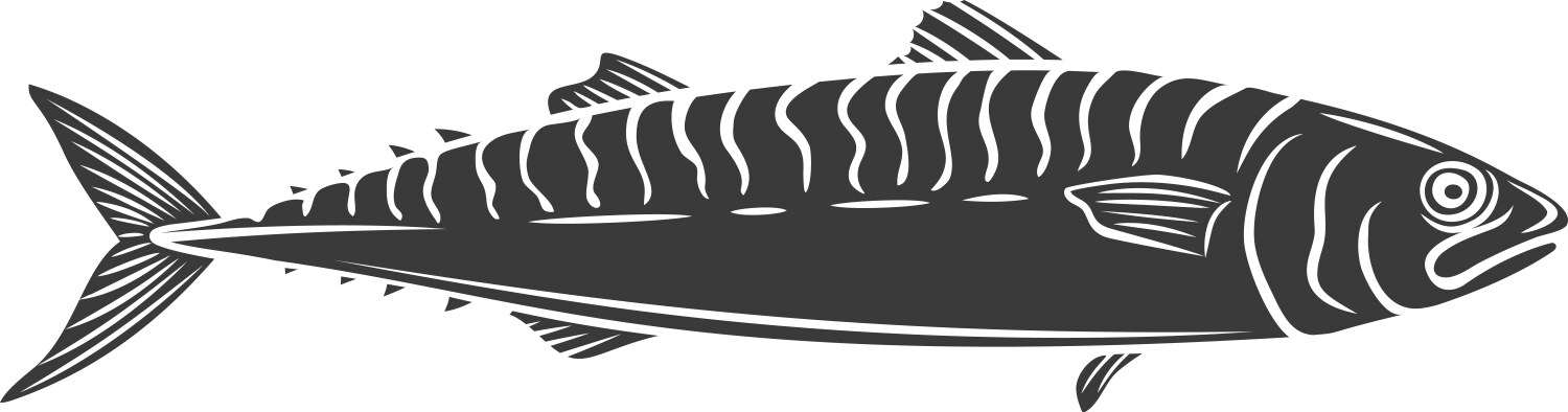 Atlantic mackerel Royalty Free Vector Image - VectorStock