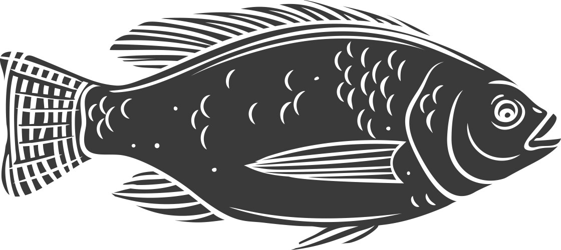Clipart De Tilapia Tilapia Vectors Download Free High Quality