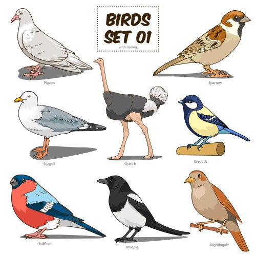 Birds Vector Images (over 620,000)