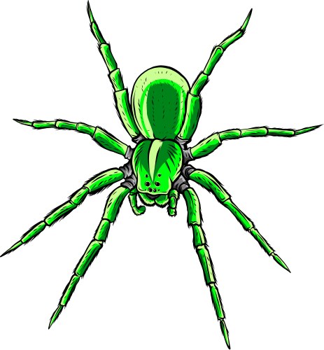 Spider Cartoon Vector Images (over 39,000)