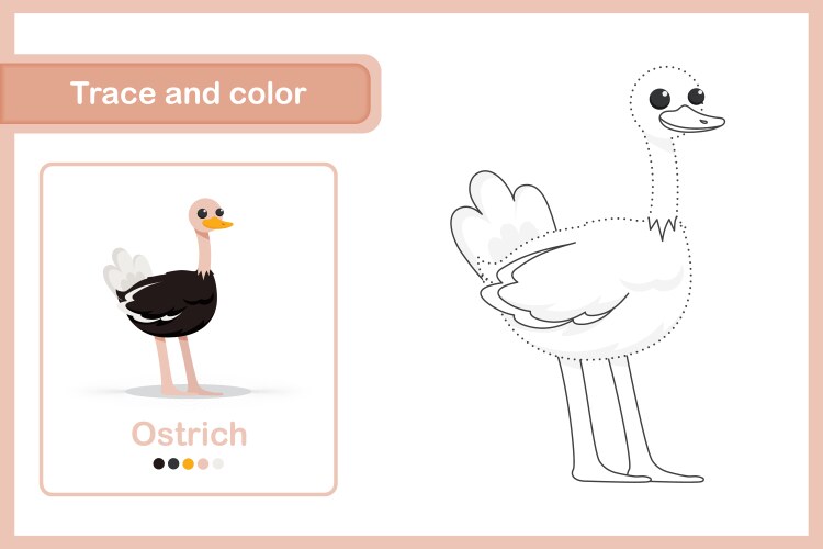 Drawing and vocabulary worksheet trace colour Vector Image
