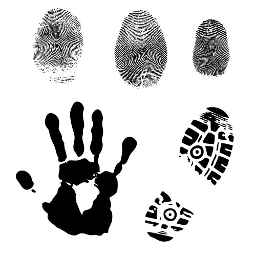 Foot and hand prints Royalty Free Vector Image