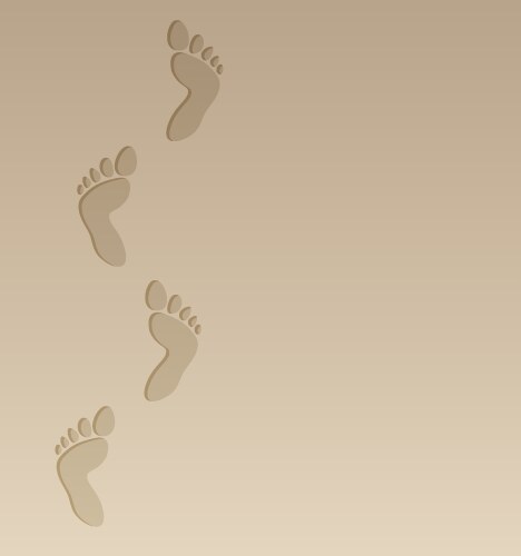 Sand Vector Images (over 210,000)