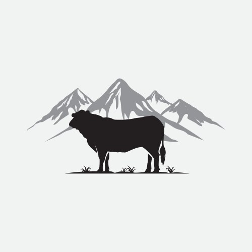 Angus Cattle Vector Images (over 1,500)