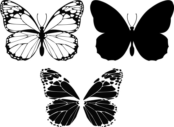 Butterfly Outline Vector Images (over 27,000)
