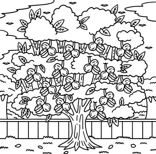 Plum tree fruit plant coloring page for kids Vector Image