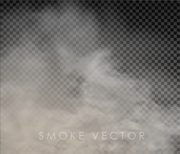 Fog and smoke isolated on transparent background Vector Image