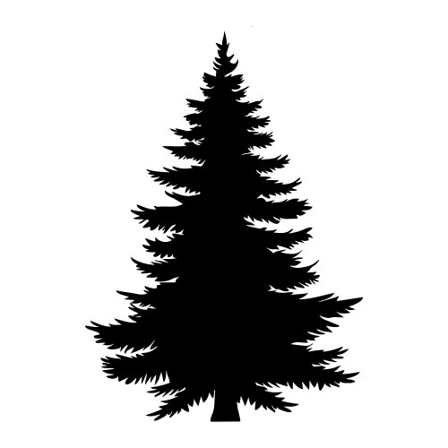 Pine trees collection Royalty Free Vector Image