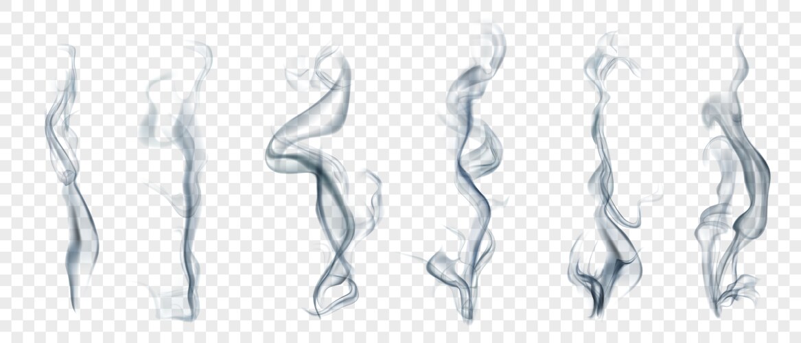 Realistic cigarette smoke set isolated Royalty Free Vector