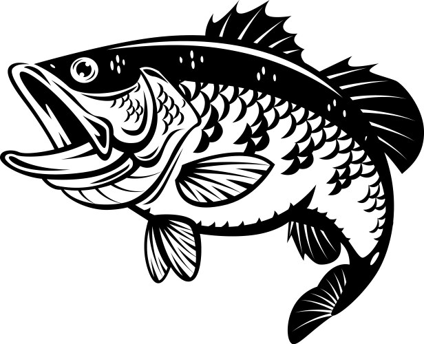 Bass Logo Vector Images (over 14,000)