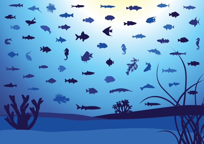 Tropical Fish Silhouette Vector Images (over 15,000)