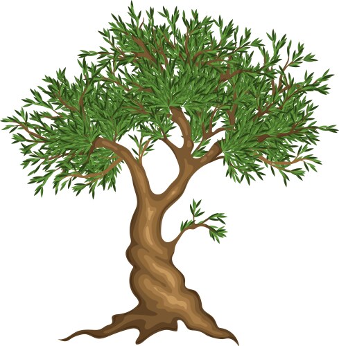 Olive Tree Vector Images (over 16,000)