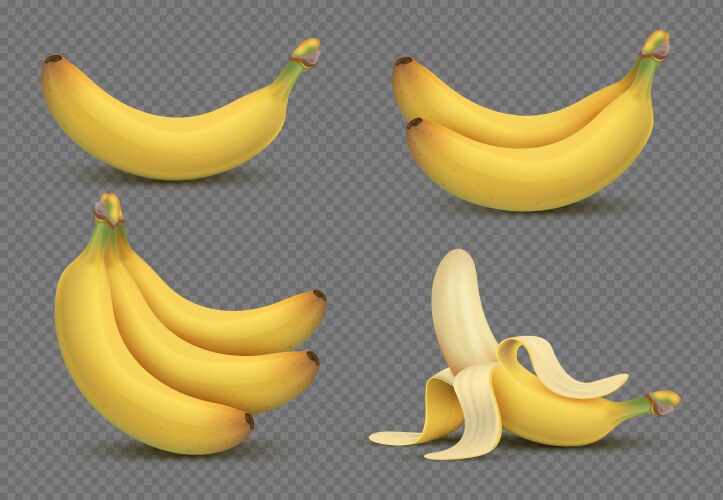 Banana Vector Images (over 98,000)