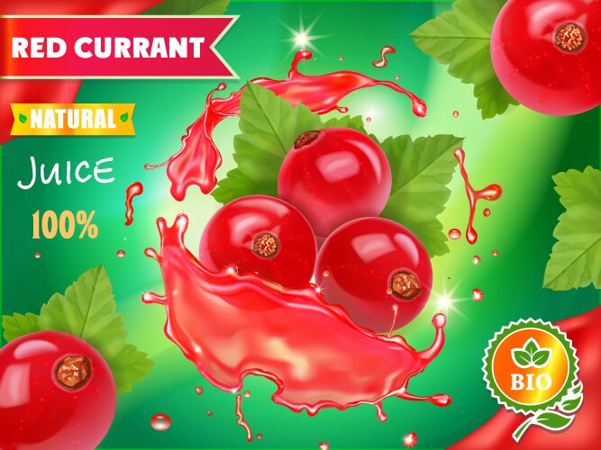 Juice with red currants in a glass realistic Vector Image