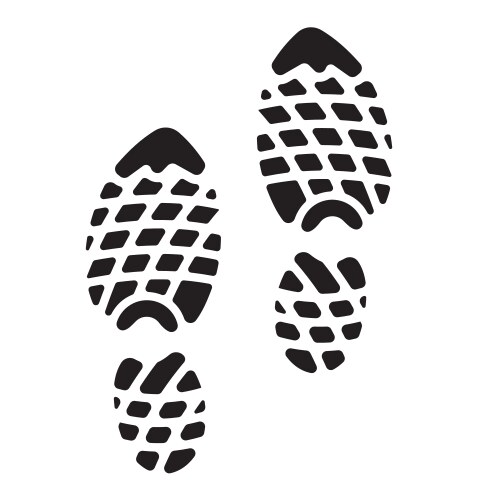 Foot arch types Royalty Free Vector Image - VectorStock