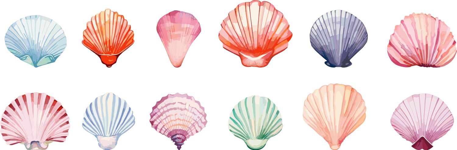 Watercolor Seashell Vector Images (over 1,100)