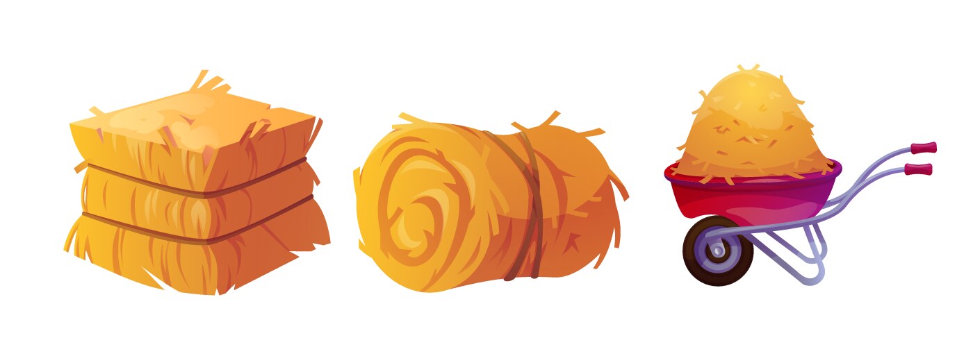 A haystack and wooden ladder isolated on white Vector Image