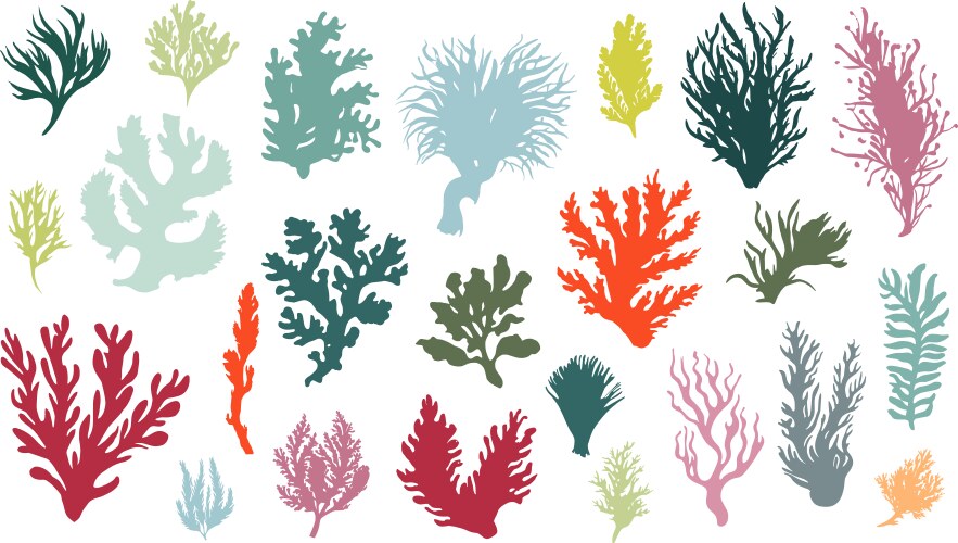 Seaweed Vector Images (over 41,000)