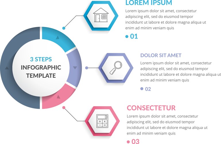 Streptococci streptococcal diseases infographics Vector Image