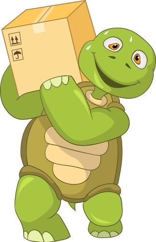Cute turtle thumbs up cartoon Royalty Free Vector Image