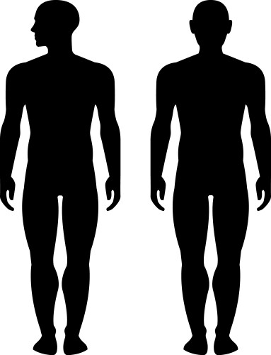 Body Systems Vector Images (over 46,000)