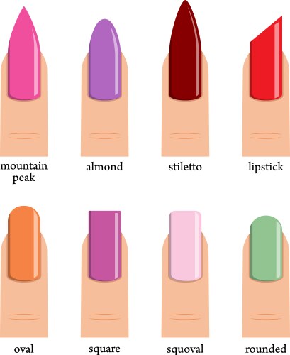 Nail shape icons Royalty Free Vector Image - VectorStock