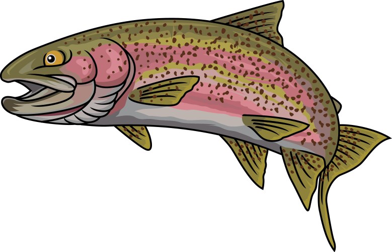 Rainbow Trout Logo Vector Images (over 180)