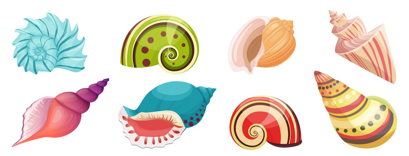Seashells set Royalty Free Vector Image - VectorStock