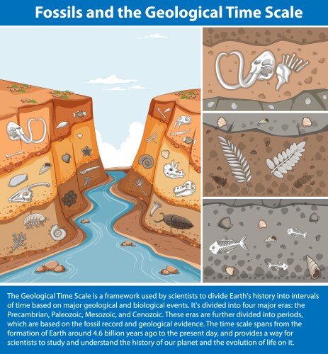 Geological Time Scale Vector Images (15)