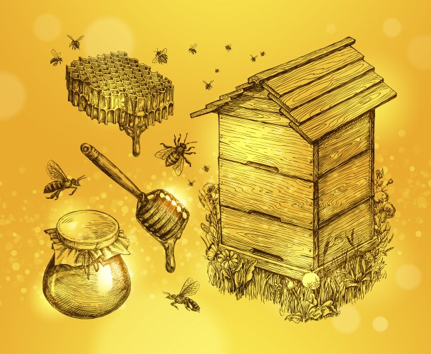 Bee Drawing Vector Images (over 23,000)