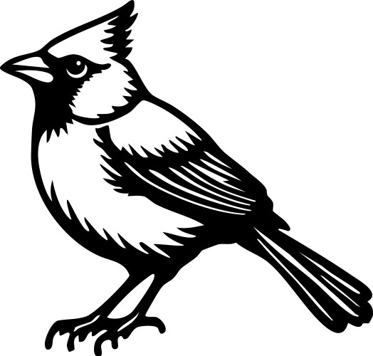 Black white cardinal Vector Images & Graphics for Commercial Use ...