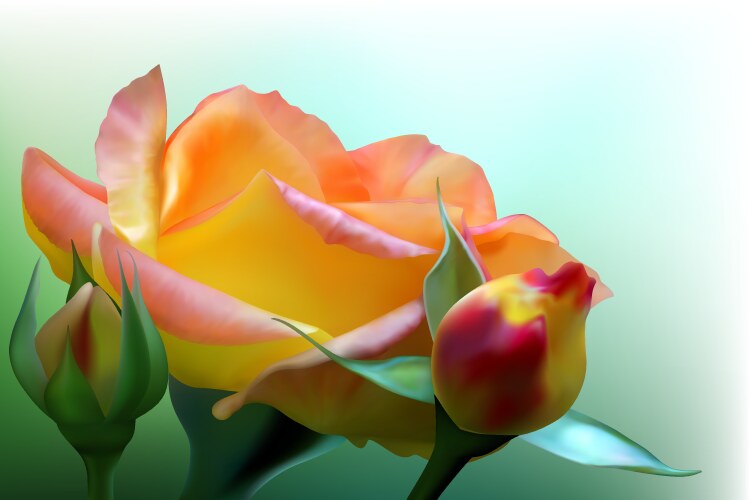 Rose Vector Images (over 290,000)