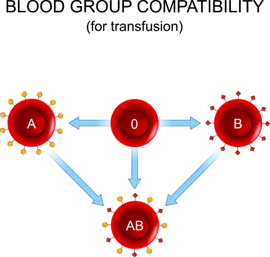 Blood Group Vector Images (over 4,500)