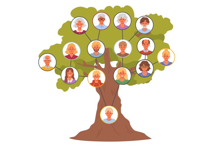 Family Tree Vector Images (over 42,000)