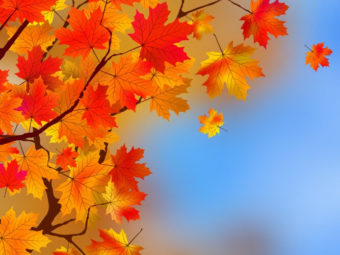 Autumn Vector Images (over 650,000)